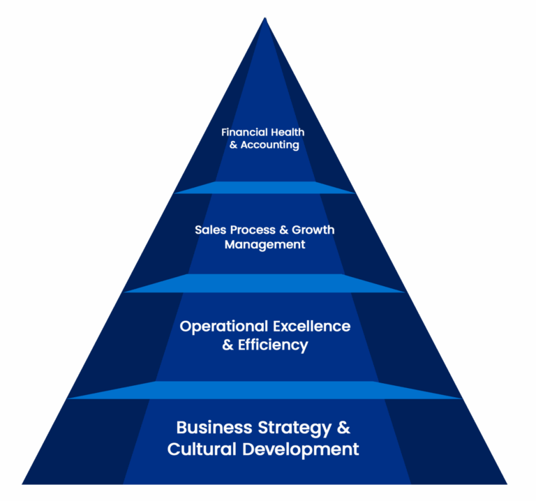 Sustainable Business Growth | Palermo Synergy Framework